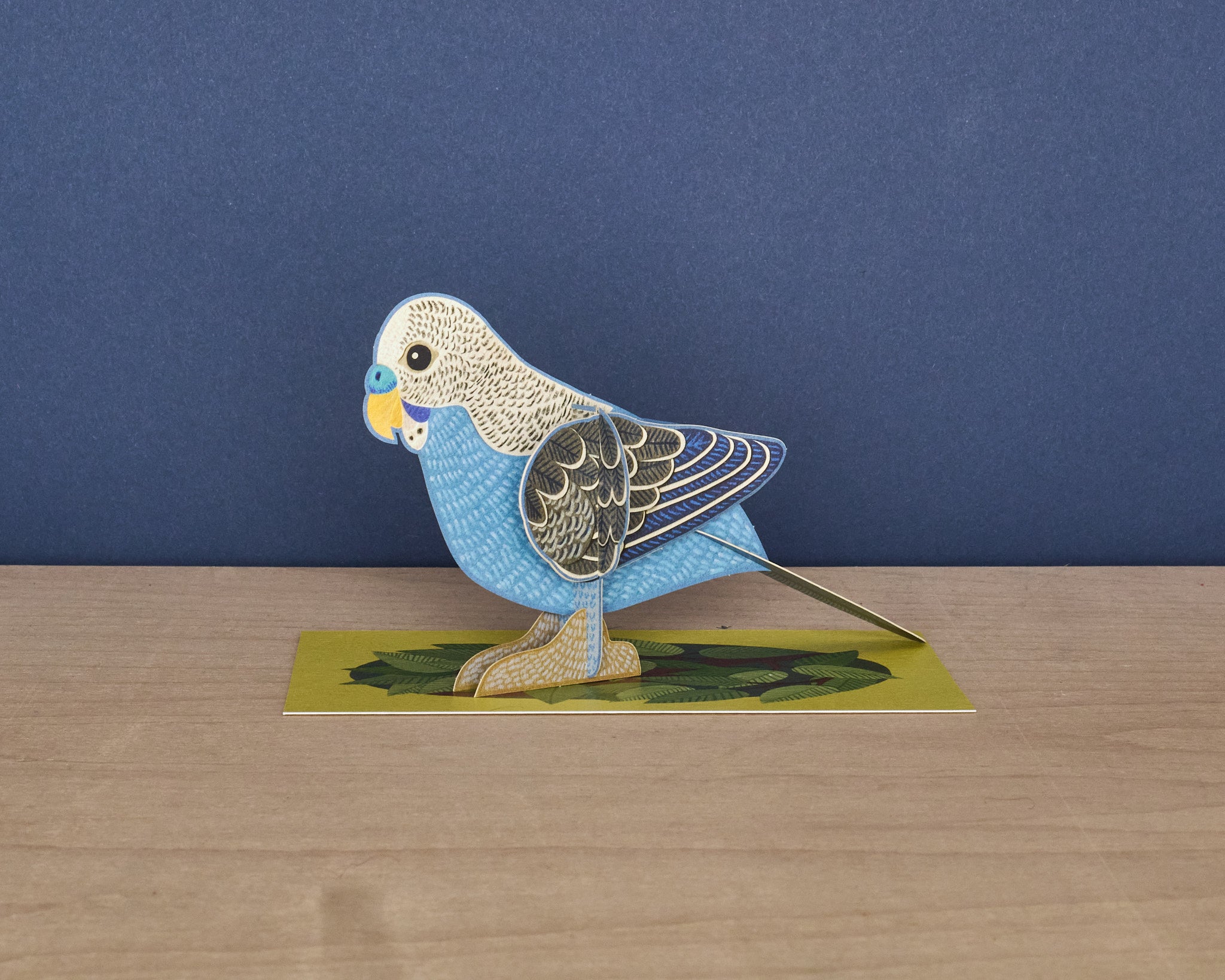 Pop-Out Budgie by Alice Melvin – Art Angels