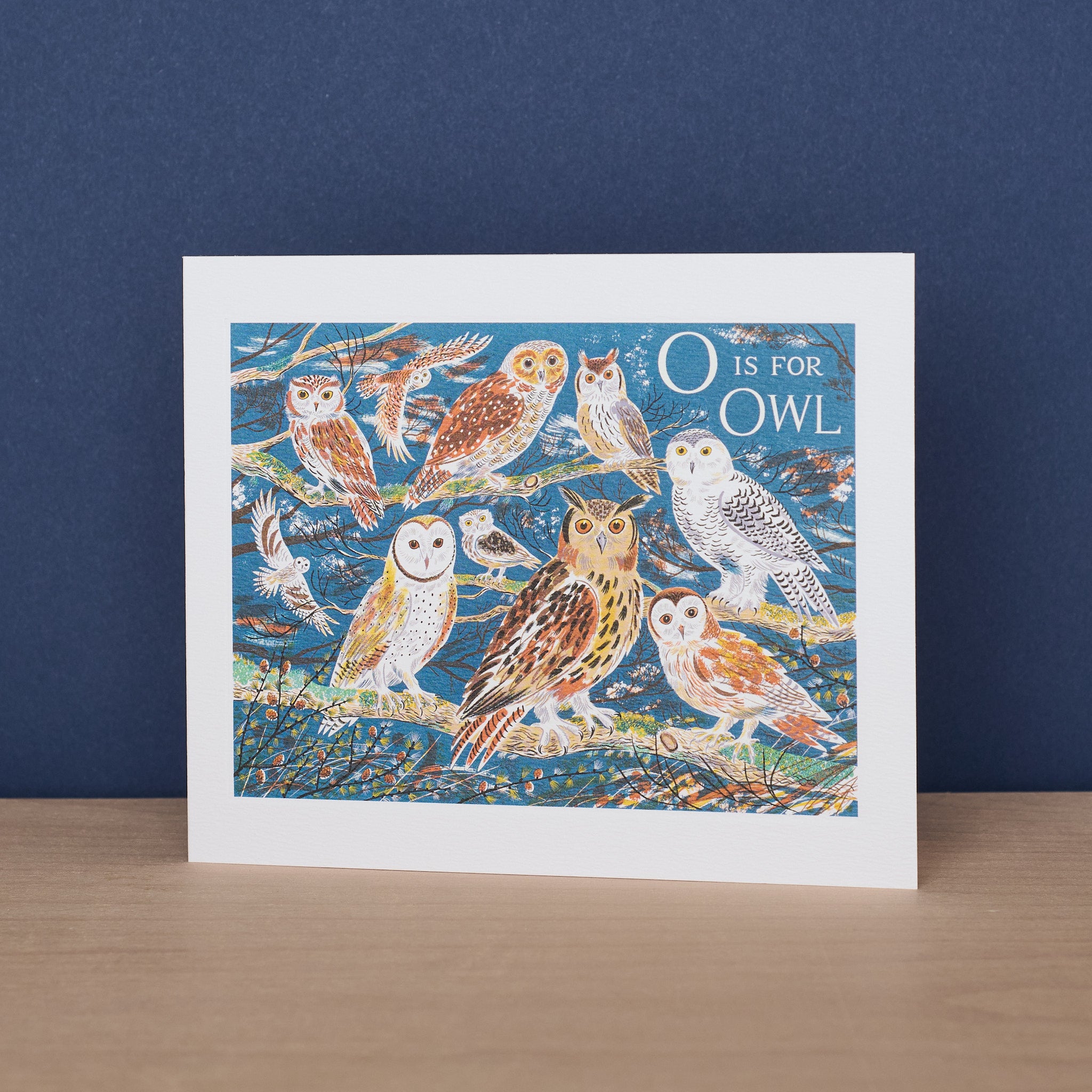 O For Owl by Emily Sutton – Art Angels