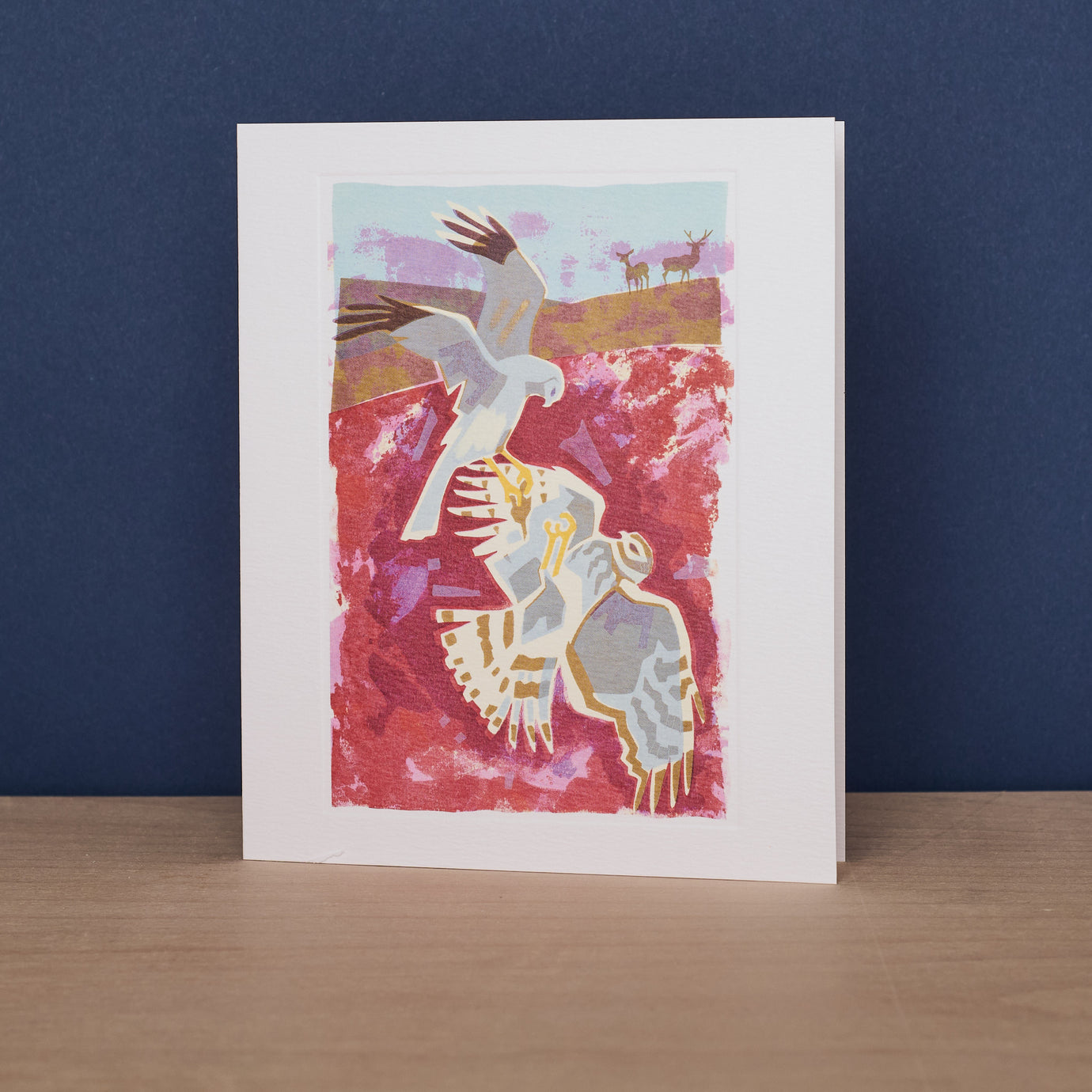 Hen Harriers by Jane Smith – Art Angels