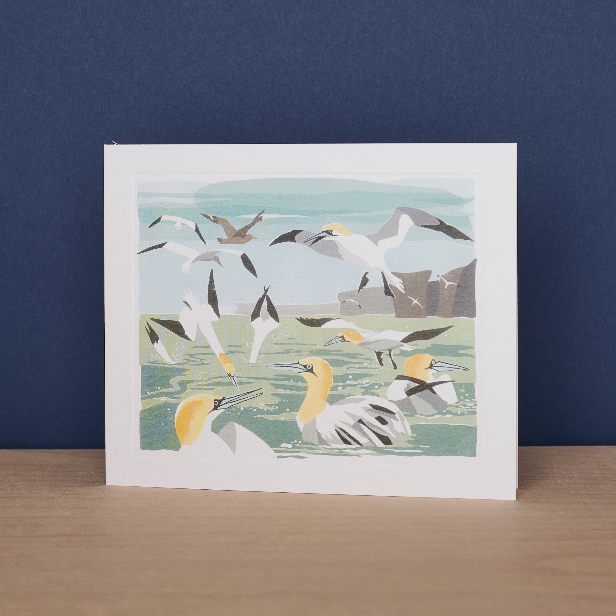 Gannets by Lisa Hooper – Art Angels