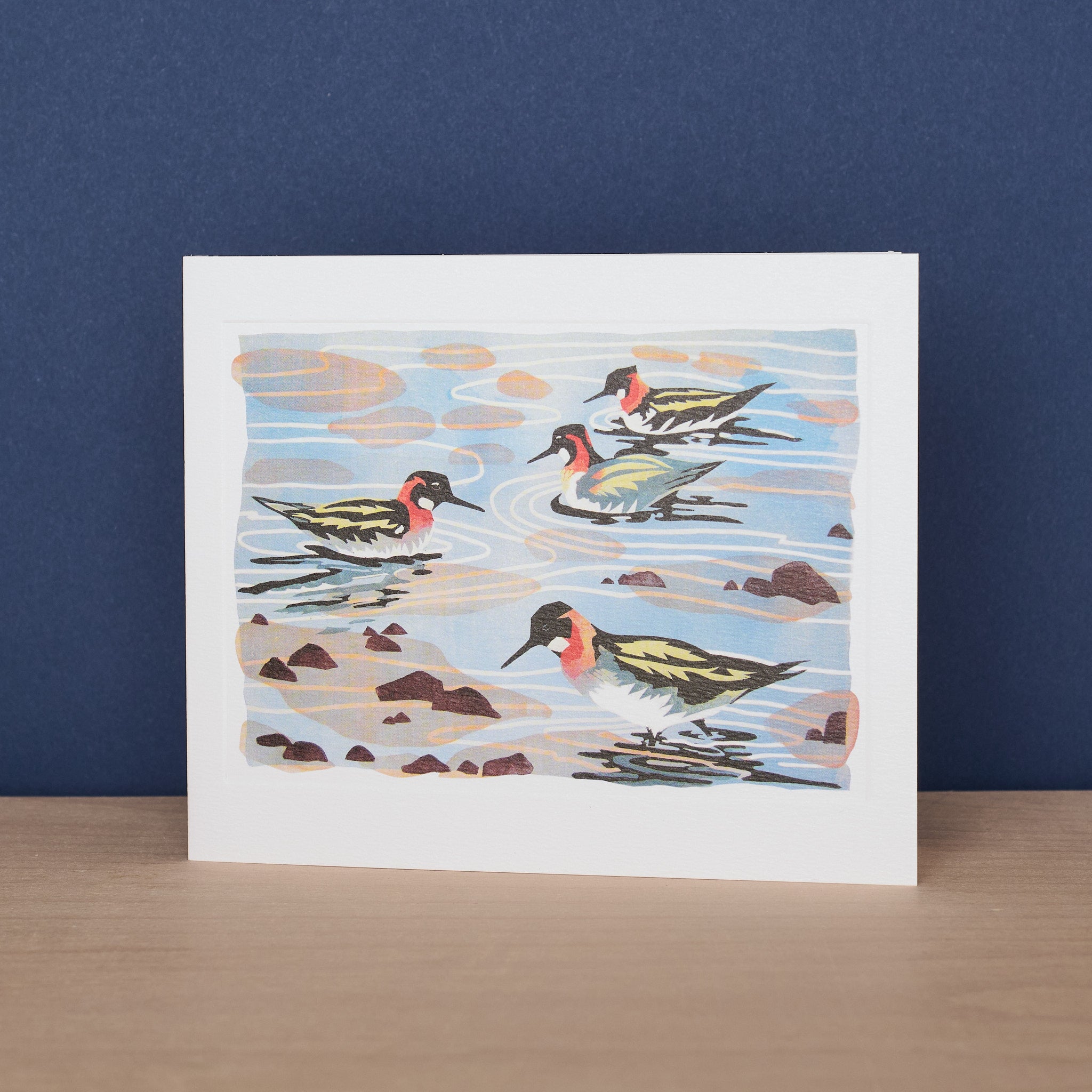 Phalaropes by Lisa Hooper – Art Angels