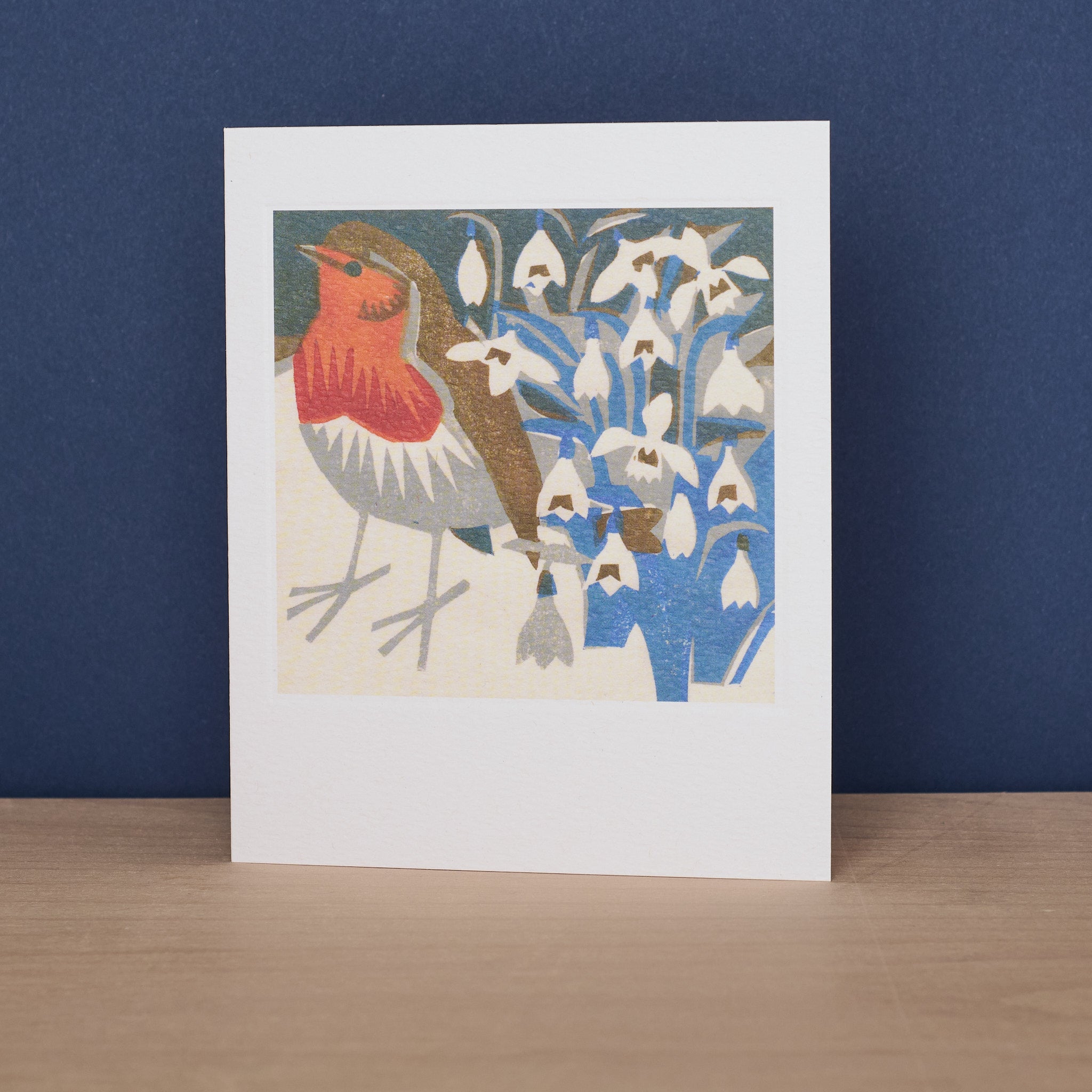 Snowdrop Robin by Matt Underwood – Art Angels