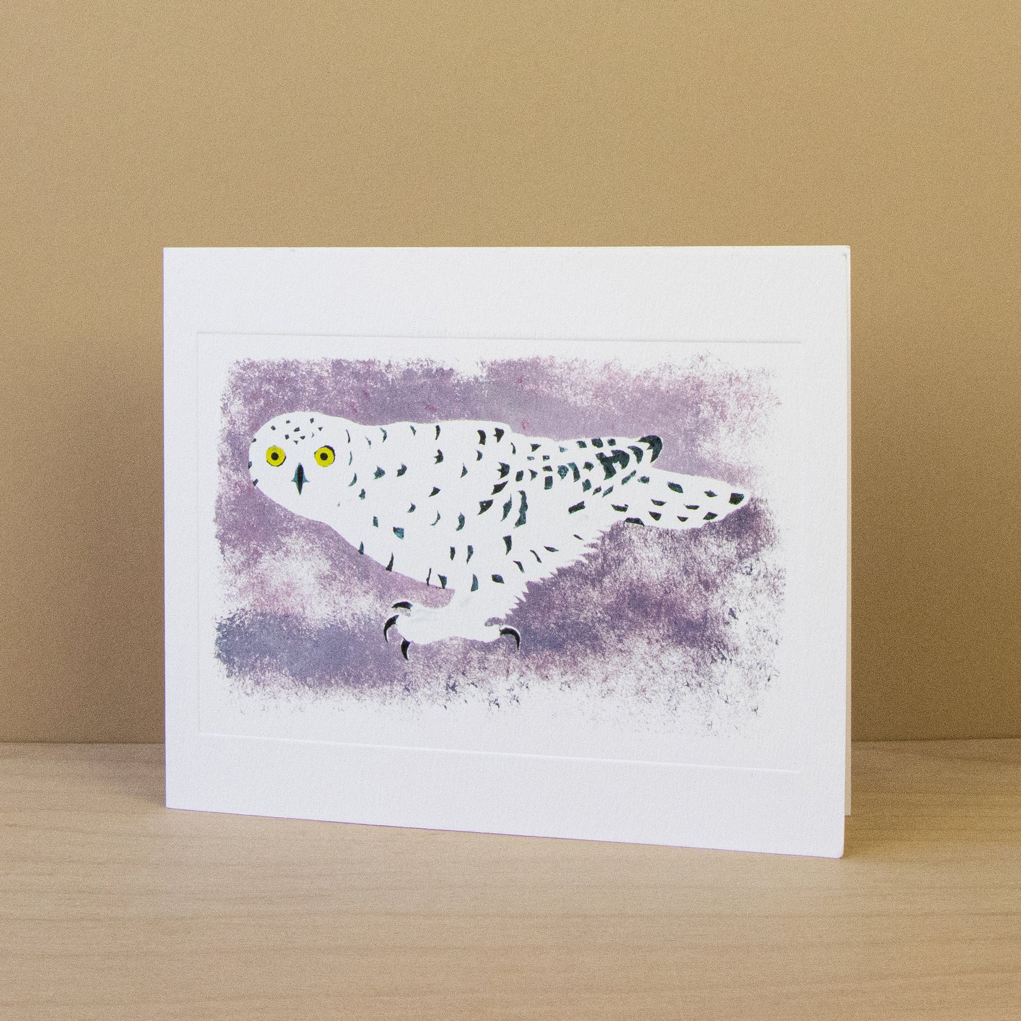 Arctic Visitor by Mick Manning – Art Angels