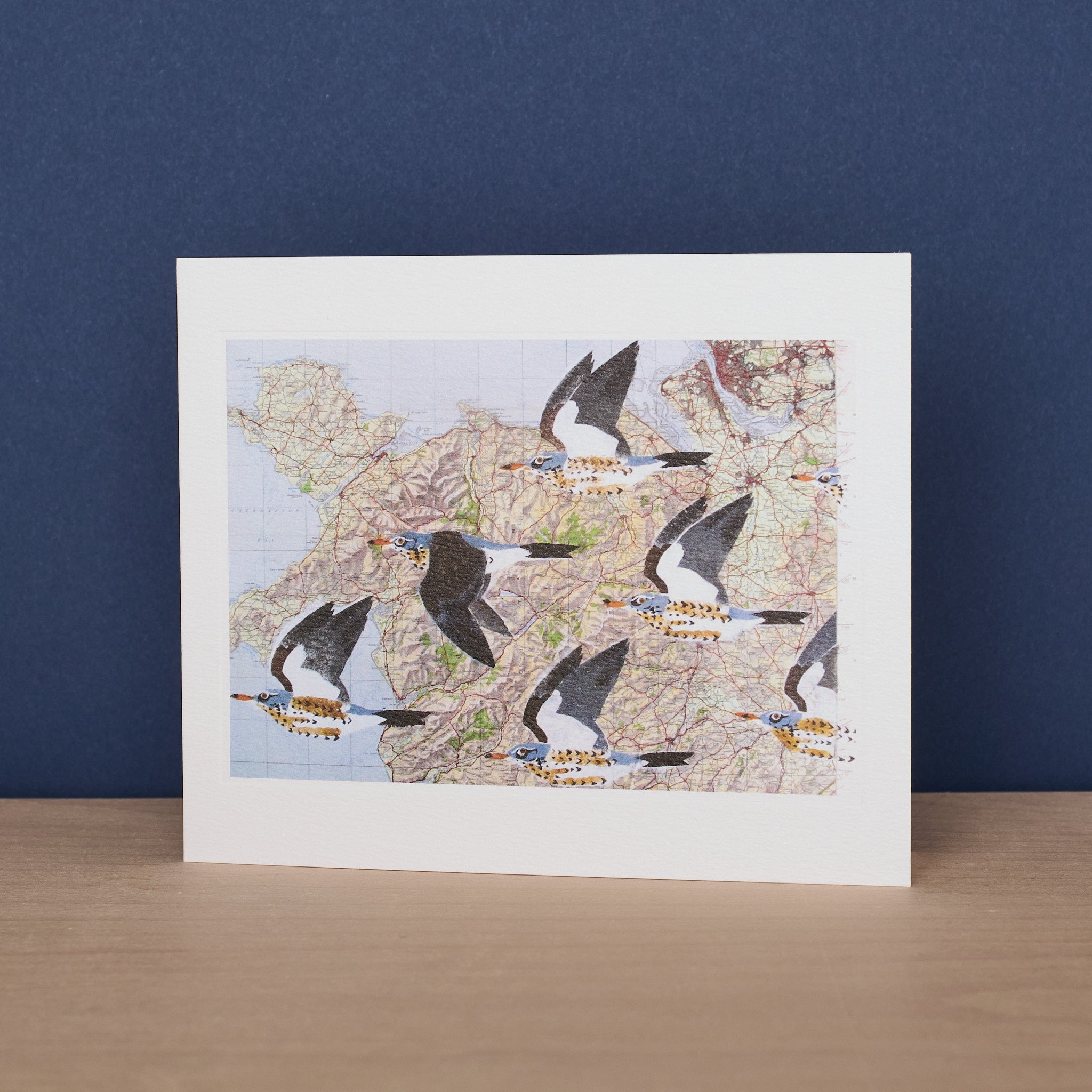 Fieldfares by Mick Manning – Art Angels